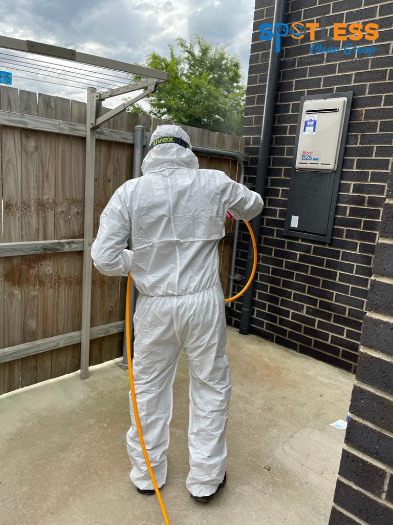 Pest control service in Gungahlin - Spotless Pests Control